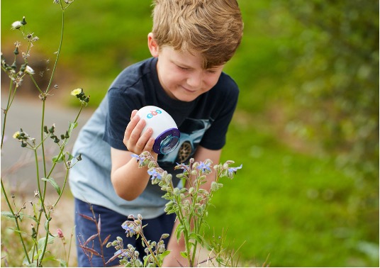 Importance of STEAM in early childhood education | TTS