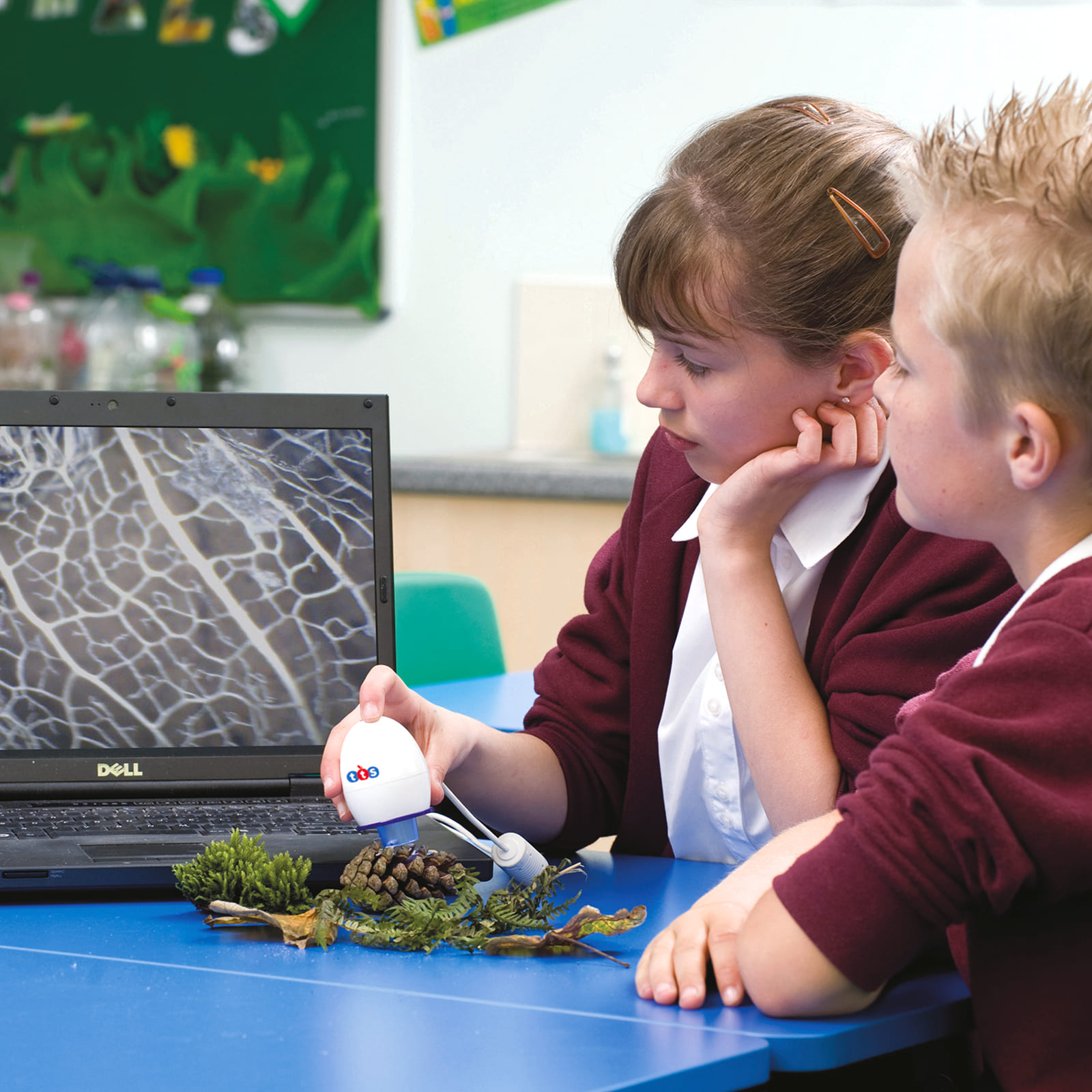 Science Sparks' Top Primary Science Resources