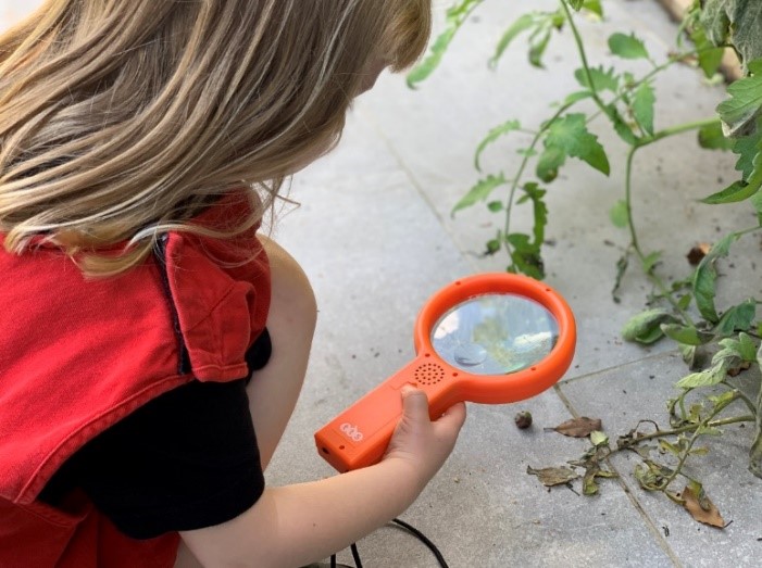 Why is STEAM Important in the Early Years?