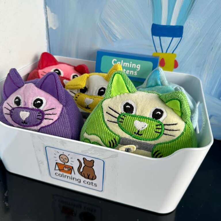 Supporting Emotional Regulation with Calming Kittens | TTS